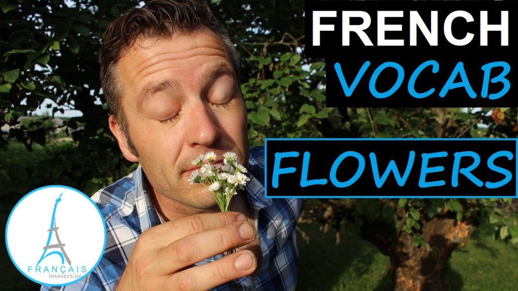 French Flowers Names Popular Flowers In France: Their French Flower